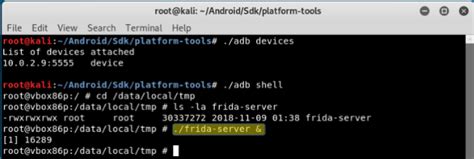 Dumping Android Application Memory With Fridump Security Grind