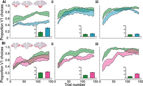 Figure 4 From Frontal Cortex And Reward Guided Learning And Decision Making Semantic Scholar
