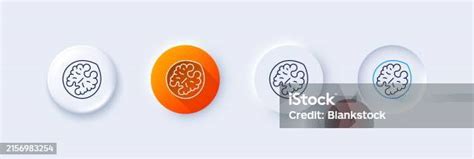 월넛 라인 아이콘입니다 맛있는 견과류 기호입니다 비건 음식 선 아이콘 벡터 0명에 대한 스톡 벡터 아트 및 기타 이미지 0명 3차원 형태 건강한 생활방식 Istock