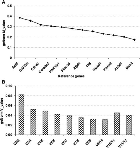 Genorm Analysis Of 12 Candidate Reference Genes A Genorm M Value