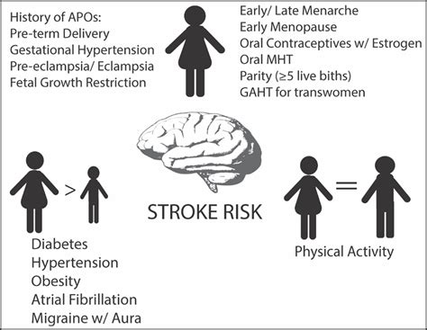 The Impact Of Sex And Gender On Stroke Pmc