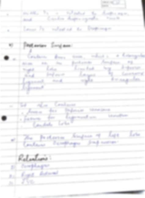 Solution Anatomy Of Liver Surfaces Of Liver Borders Of Liver Lobes Of Liver Relations Of Liver