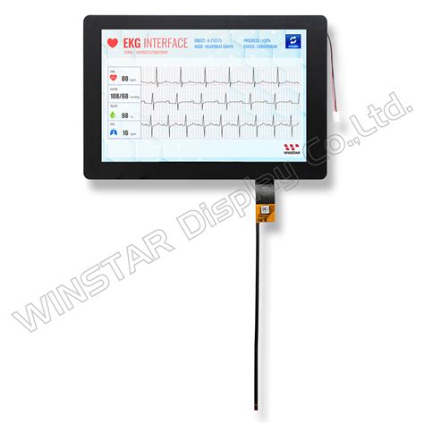 10 1 Inch TFT High Resolution LCD Display With Touch WINSTAR