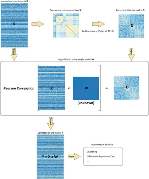 Scbatch Batch Effect Correction Of Rna Seq Data Through Sample Distance Matrix Adjustment Pmc