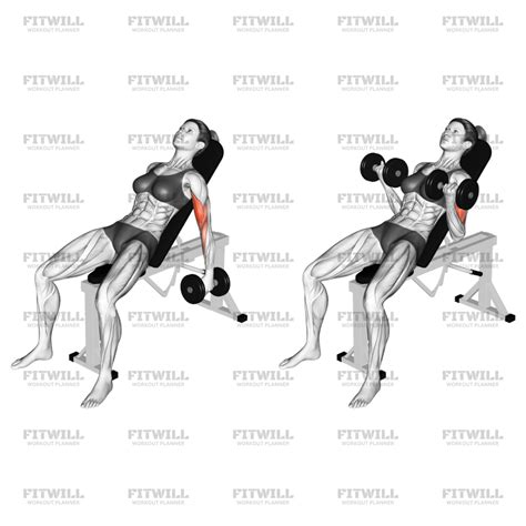 Dumbbell Incline Biceps Curl Exercise Guide Video Techniques