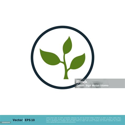 잎 성장 식물 아이콘 벡터 로고 템플릿 일러스트 디자인 벡터 Eps 10 0명에 대한 스톡 벡터 아트 및 기타 이미지 0명 개념 개념 기호 Istock