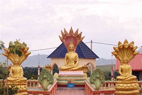 រូបថតប្រចាំសប្តាហ៍