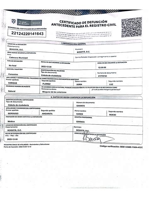 Certificado De Defunción Pdf