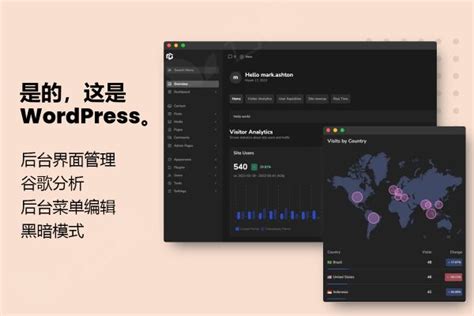 Wordpress后台仪表盘界面样式管理插件 Uipress Pro V2318 云典网