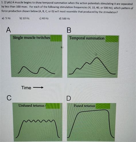Solved 1 2 Pts A Muscle Begins To Show Temporal Summation