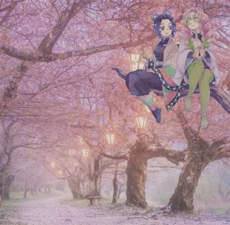 Mitsuri And Shinobu