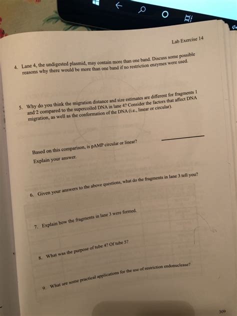 Solved Lab Exercise 14 4 Lane 4 The Undigested Plasmid