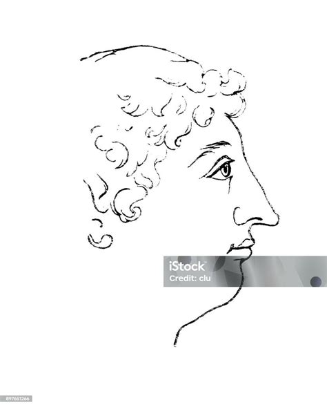 Bentuk Hidung Khas Tampilan Samping Ilustrasi Stok Unduh Gambar