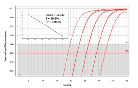 What Is Dye Based Qpcr
