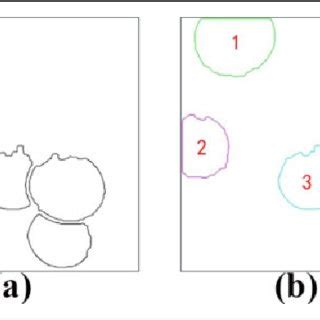 Process Of Obtaining The Pixel Coordinates Set Of Outer Contour A Download Scientific