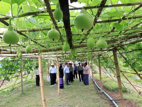 ကယားပြည်နယ်ဝန်ကြီးချုပ် စိုက်ပျိုးရေးနှင့်မွေးမြူရေးလုပ်ငန်းများ ကြည့်ရ