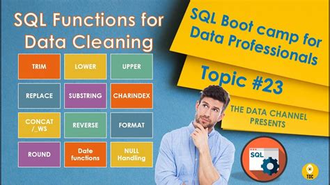 Sql Functions For Data Cleaning Sql For Data Professionals Topic 23