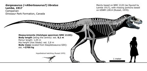 Daspletosaurus Vs Gorgosaurus