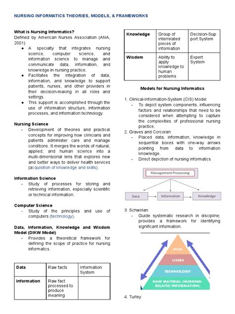 Nursing Informatics Framework Pdf Information Computer Science