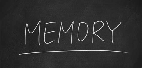 8 Best Nootropics For Memory And Retention In 2025