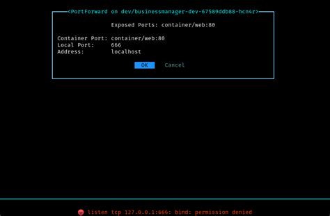 Port Forwarding Bind Permission Denied Issue Derailed K S GitHub