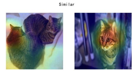 Twin Neural Network Or Siamese Neural Network Leverages Multiple Information Sources For