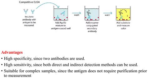 Serological Methods For Detection Of Viruses Pptx