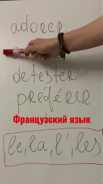 Французский язык Учить французский язык уроки французского языка Youtube