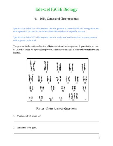 Edexcel Igcse Biology Worksheets Chapter 5 Reproduction And