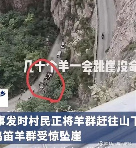 村委会回应近百只山羊集体跳崖坠亡：汽车鸣笛受惊，损失惨重 近日，河南一地近百只山羊集体跳崖死亡引发关注。9月24日，辉县市回龙附近挂壁公路