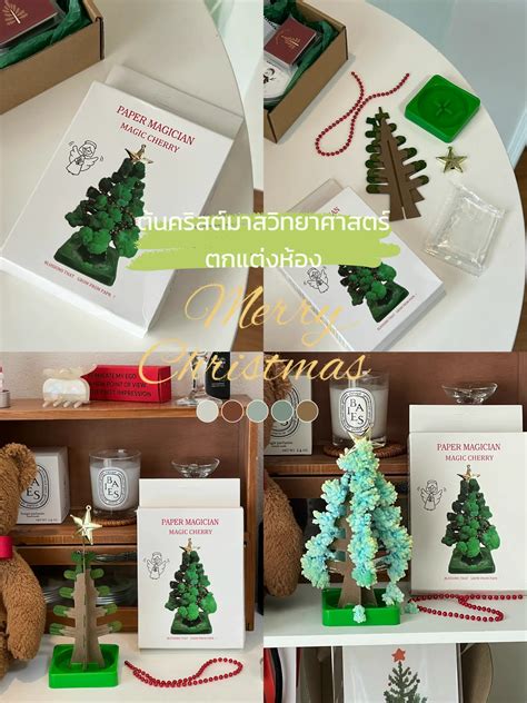 Review ต้นคริสต์มาสวิทยาศาสตร์ ตกแต่งบ้าน 🎄🤶 แกลเลอรีที่โพสต์โดย