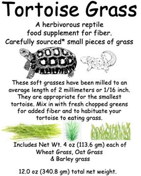 Tortoise Grass Organic Sourced Grasses Milled For Tortoise Etsy