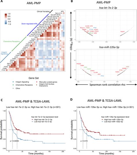 Mirnamrna Correlation A Spearman Correlations Between Paired Mrnas And