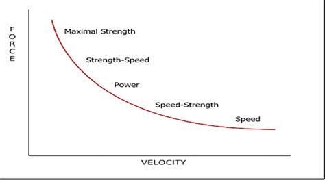 How The Force Velocity Curve Relates To Sports Performance Stack