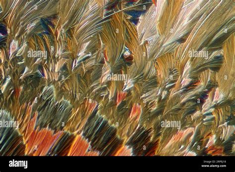 The Image Presents Crystallized Mixture Of Eryhtritol And Resorcinol Photographed Through The