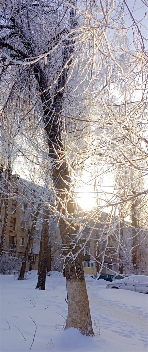 Мороз и солнце день чудесный ИП желаний Дзен