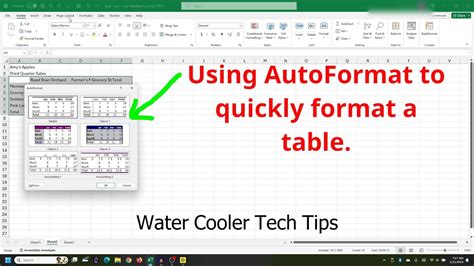 Excel How To Autoformat Youtube