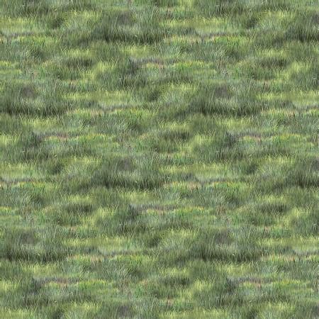 Green Grass Texture