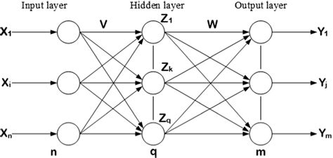 Neural Network Structure Diagram Download Scientific Diagram
