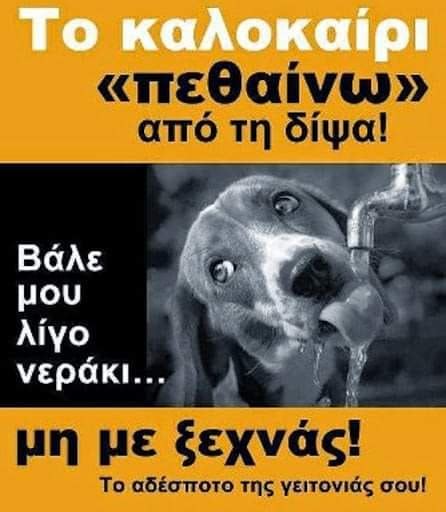 Κτηνιατρικη Μεριμνα Τακοπουλος Μιχαλης Vólos