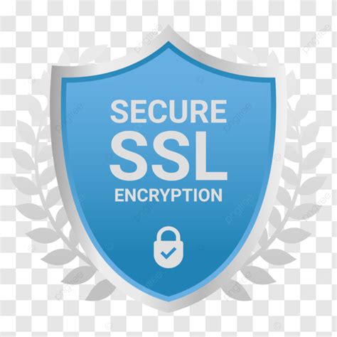 shield secure ssl protection icon sign in blue silver with paddy symbol for website security
