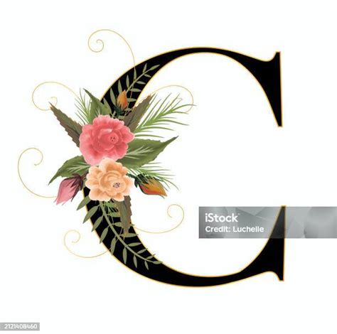 꽃과 나뭇잎이 있는 알파벳 문자 C 벡터입니다 장식 편지 수채화입니다 일러스트 문자 C 기념일 꽃 식물에 대한 스톡 벡터 아트 및 기타 이미지 Istock