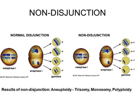 An Introduction To Cannabis Genetics Part Iii Cannabis Industry Journal