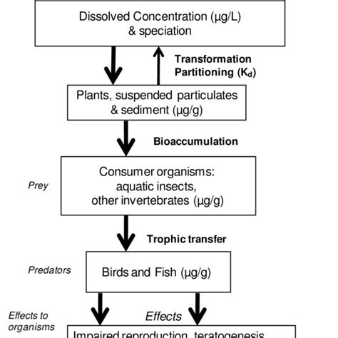 PDF Selenium Toxicity To Aquatic Organisms