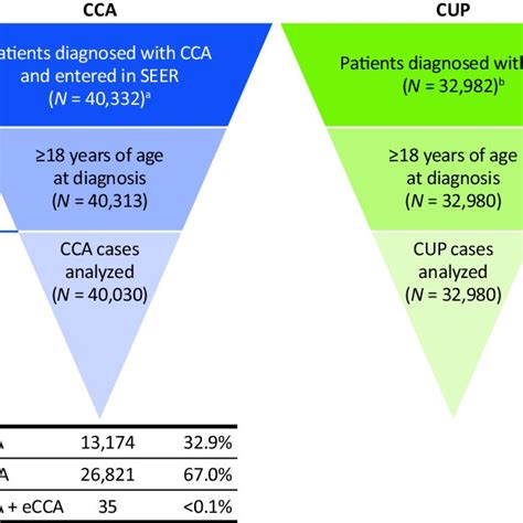 Patient Disposition A Patients Diagnosed With Icca Icd O 3 Code