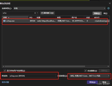 C Net Core Web 程序远程调试 Net 远程调试 Csdn博客