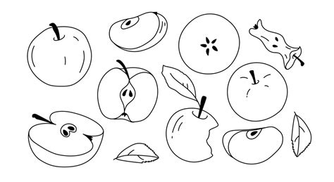 Apple Core Coloring Pages