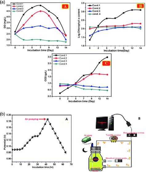 A Right Dissolved Oxygen Levels Evolved Degradation During The Four Download Scientific