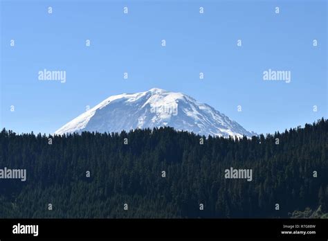 Scenic View Of Mt Rainer From Bearhead Trail In Carbonado Washington