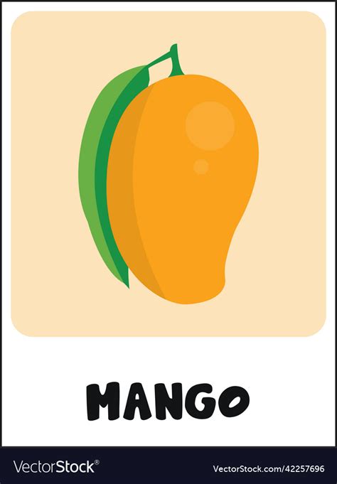 Mango Flashcard Royalty Free Vector Image Vectorstock